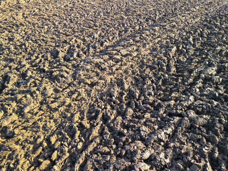 Close-up View of a Rough, Cracked Field Surface Showing Plowed Soil ...