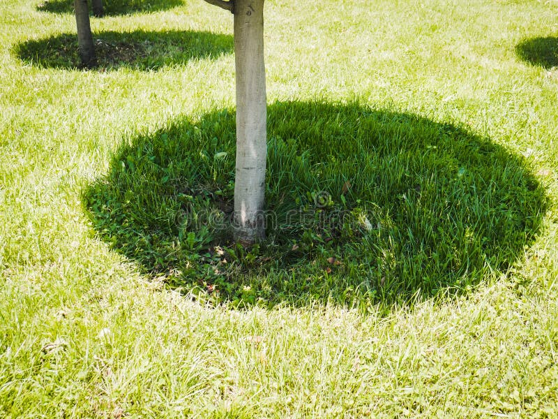 Close Up View of Round Three Shadow Stock Image - Image of details ...