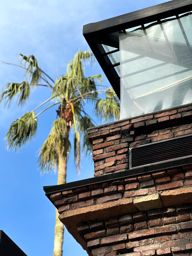 Brick Building with Palm Tree Backdrop Stock Image - Image of downtown ...
