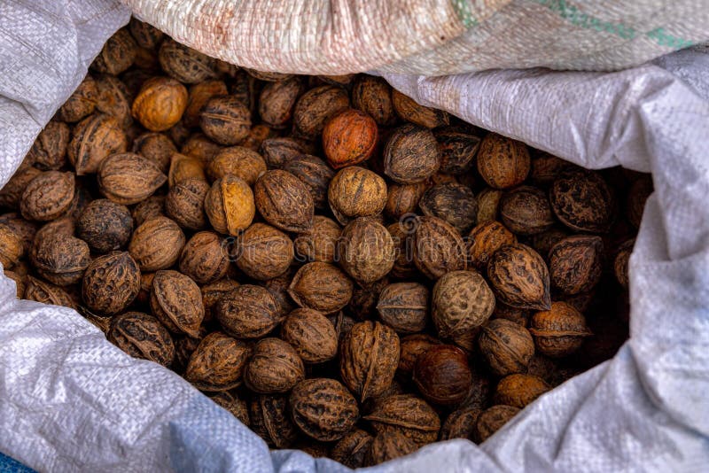 Close-up View of a Sack Filled with Whole Walnuts, Showcasing Their ...