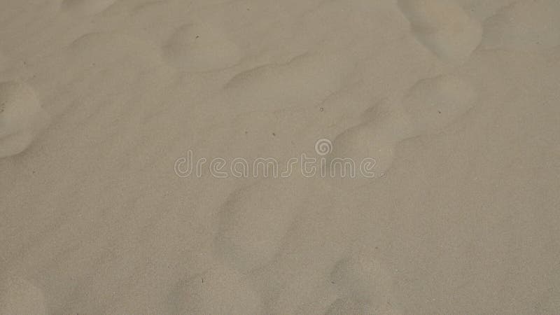 A Close-up View of Sandy Beach Patterns in Pescoluse, Salento, Puglia ...