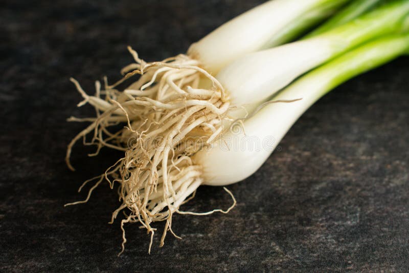 Close-up View of Scallion Roots and Bulbs Stock Photo - Image of angle ...
