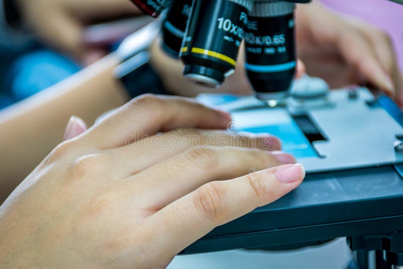 Close Up View of Scientist Hands with a Slide Ofthe Sample in Th Stock ...