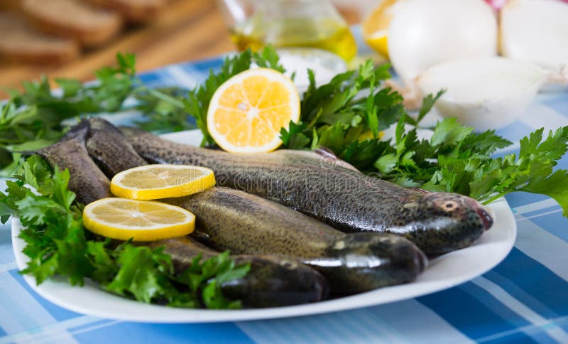 Close Up View at Sea Eel Fish Ready for Cooking Stock Photo - Image of ...