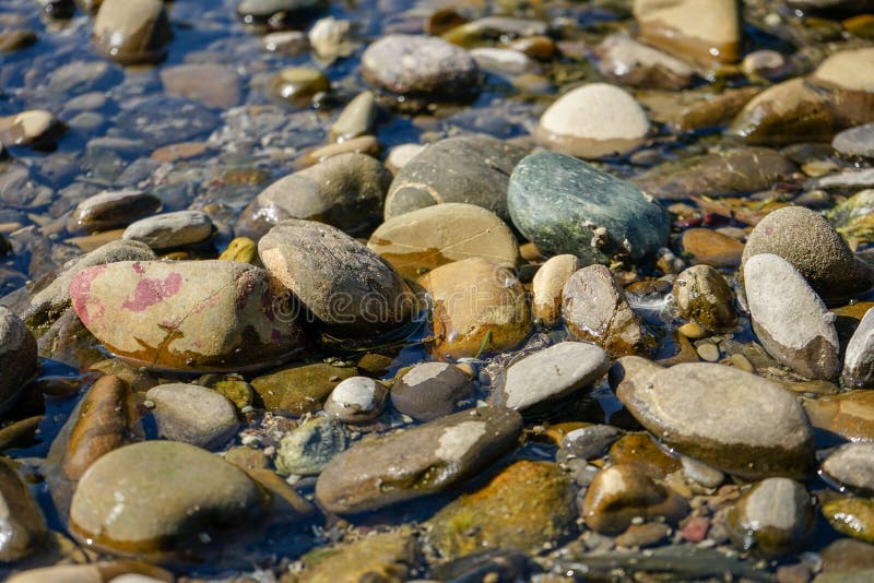Stones in River with Clear Water Stock Image - Image of flow, closeup ...