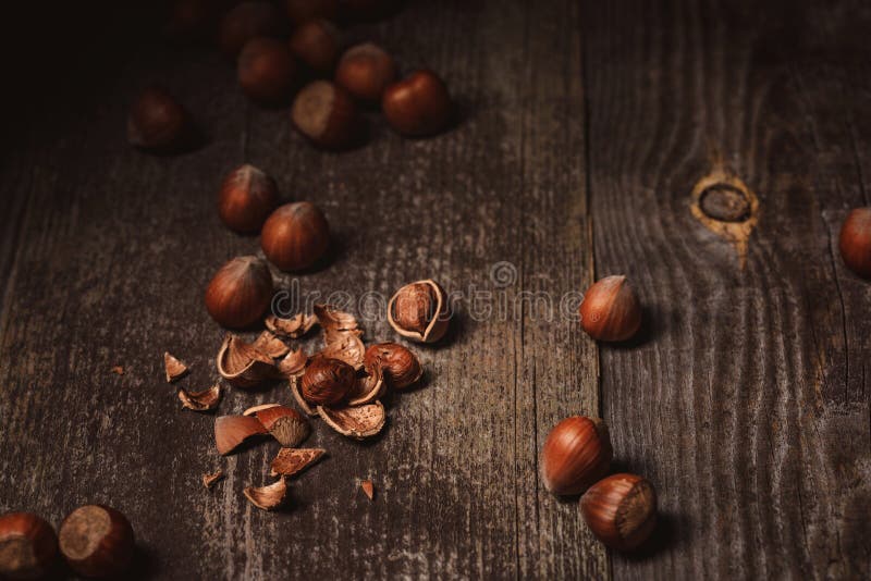 Close Up View of Shelled Hazelnuts and Husk Stock Photo - Image of ...