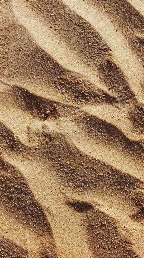 Close Up View of a Sand Dune Stock Photo - Image of detail, ground ...