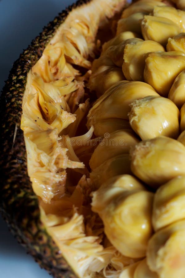 Cempedak fruit stock image. Image of left, cempedak - 124786901