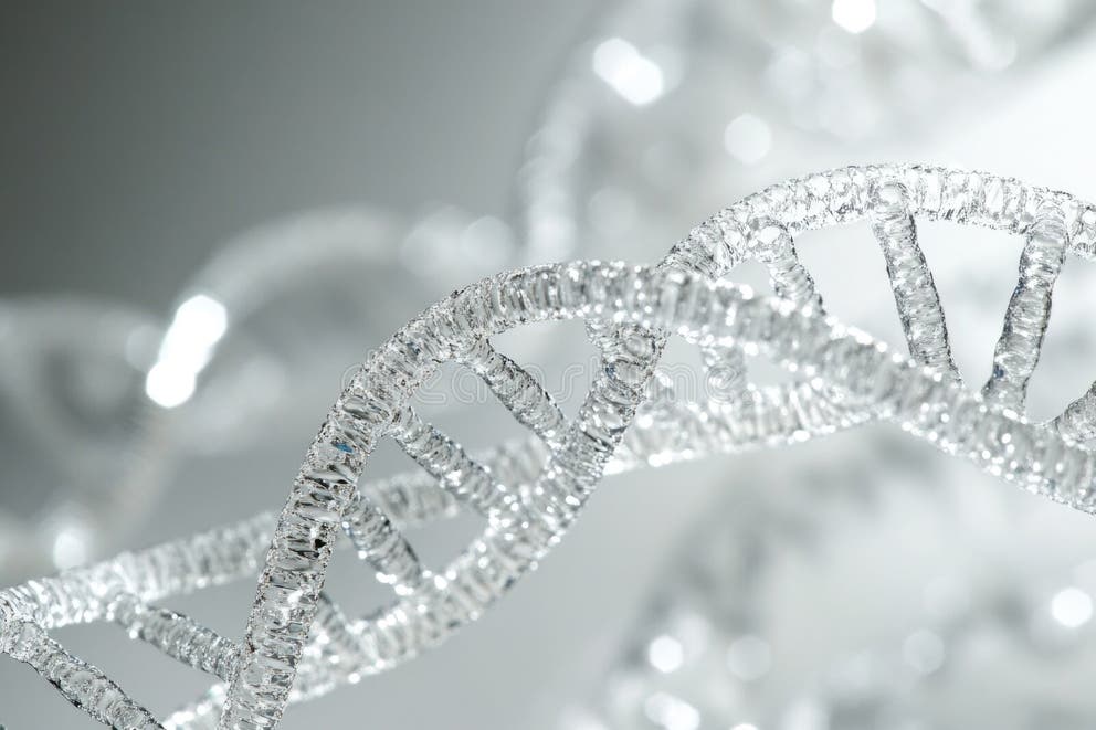 A Close-up View of a Single Strand of DNA Molecule Stock Photo - Image ...