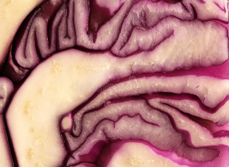 Close-up View of a Sliced Red Cabbage Revealing Intricate Patterns and ...
