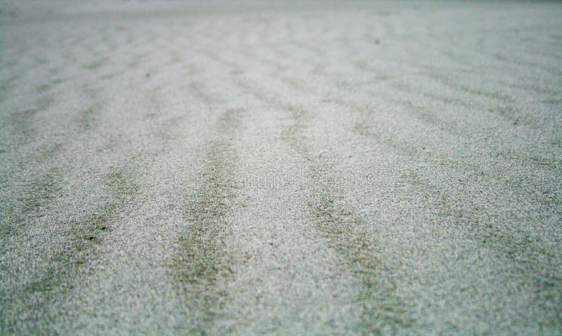 Close-Up View of Smooth Gray Sand with Subtle Ripples and Blades of ...