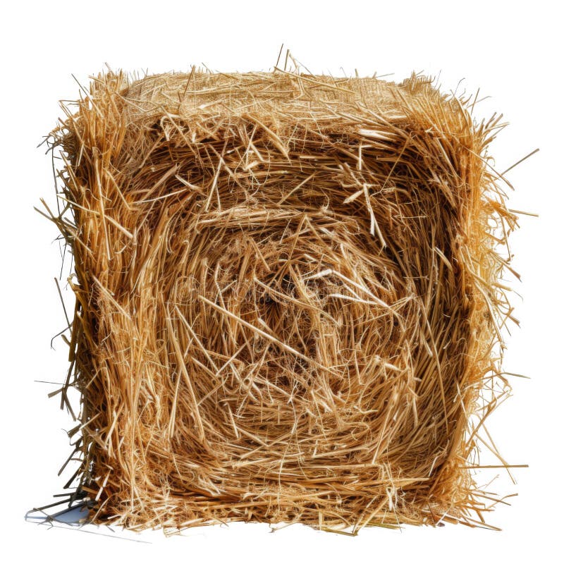A Close-Up View of a Square Hay Bale Stock Illustration - Illustration ...