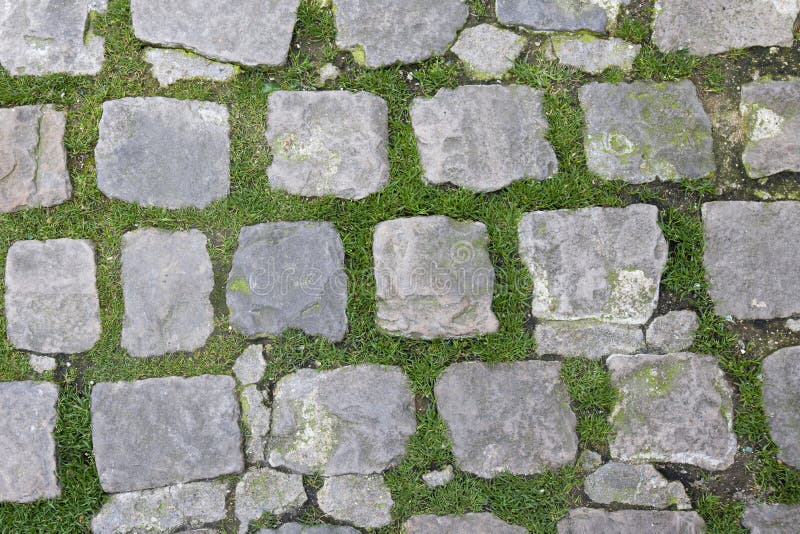 Close-up View of Stone Path with Grass Growing through Stock Photo ...