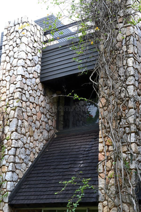 Close-up View of a Stone and Wood Building Facade with Climbing Plants ...