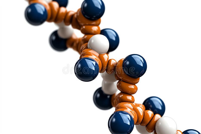 Close-up View of a Stylized DNA Molecule Model with Colorful Beads ...