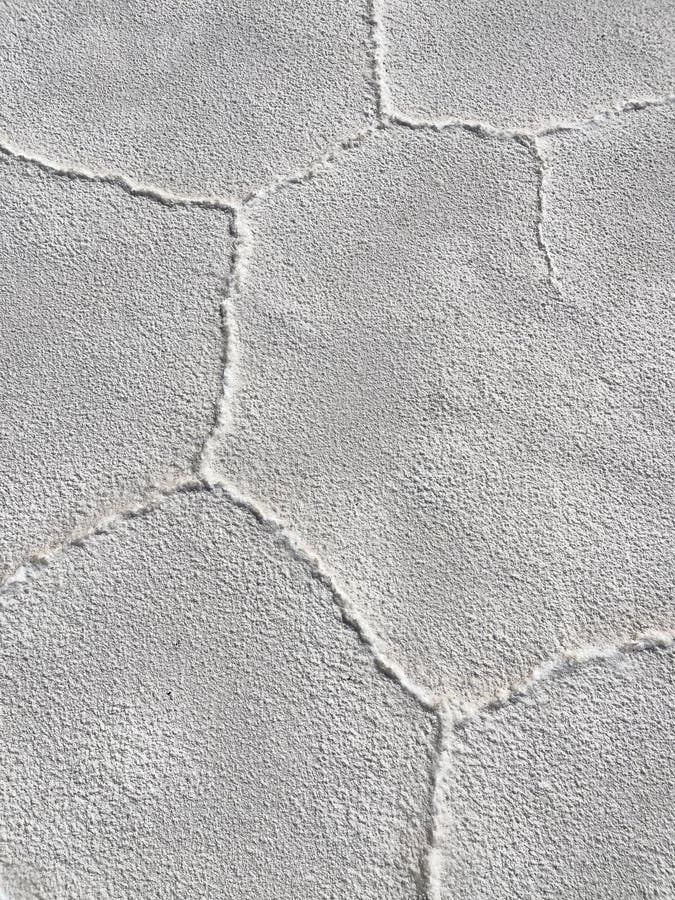 The Surface of the Salt Marsh with a Natural Intricate Pattern. Salinas ...