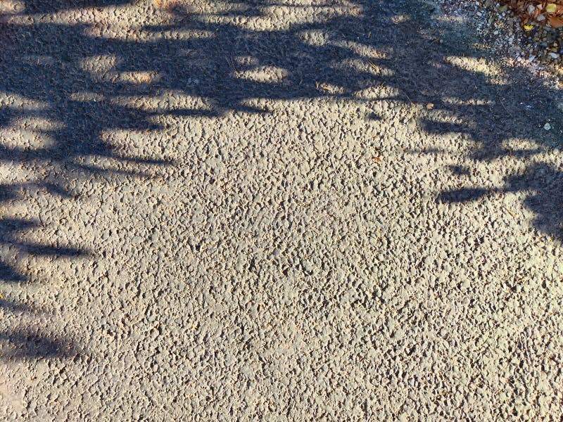 A Close-up View of Textured Concrete Pavement Under Tree Shadow during ...