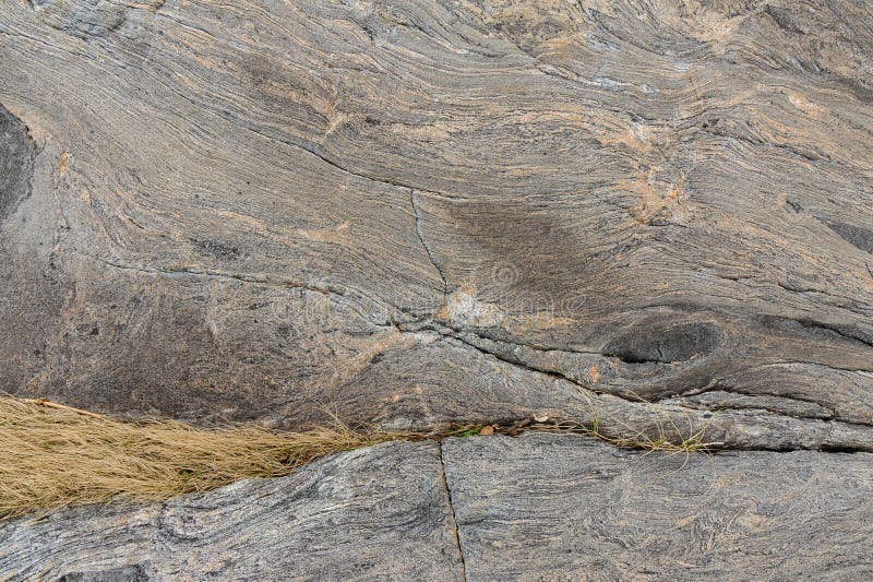 Close-up View of Textured Rock Surface with Subtle Grass Accents at ...