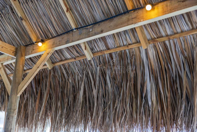 Close-up View of Thatched Roof Structure with Wooden Beams and String ...