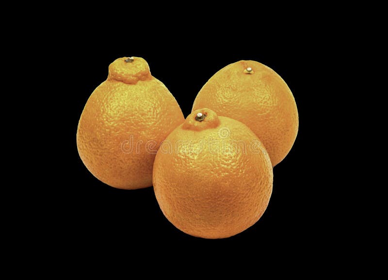 One large orange stock photo. Image of stillife, healthy - 289742574