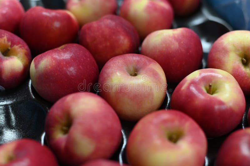 View of Red Apples Placed on a Packing Tray Stock Photo - Image of ...