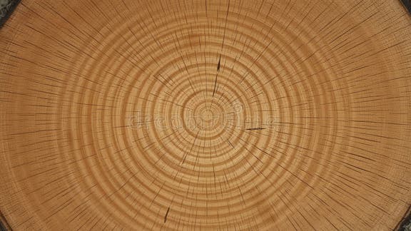 Closeup View of Tree Rings on a Cut Log Stock Illustration ...