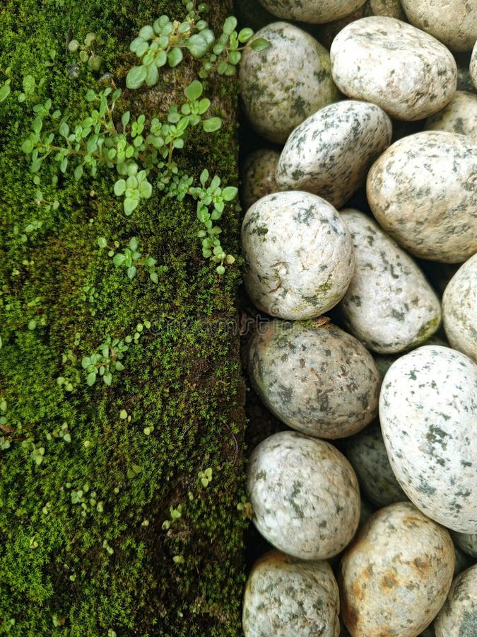 X22 Referred To As Part Two Album Stock Photos - Free & Royalty-Free ...