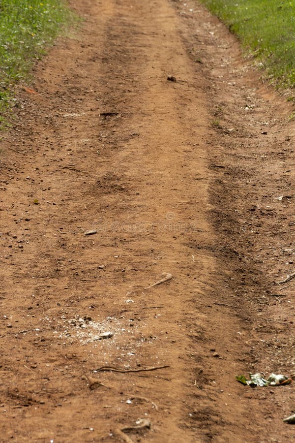 A Dirt Path stock image. Image of nature, uneven, daylight - 135653155