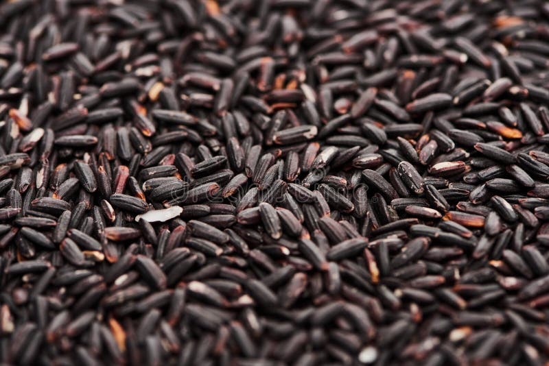 Unprocessed rice stock image. Image of close, agriculture - 210316091