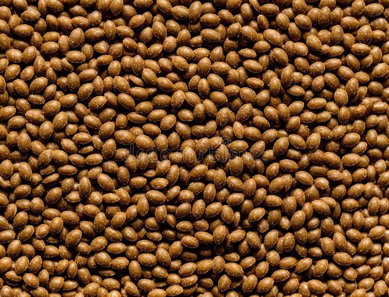 Close-Up View of Various Brown Seeds on a Flat Surface Under Natural ...