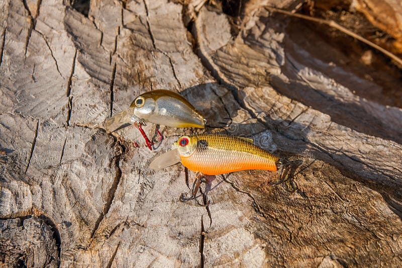 Close Up View of Various Kind of Baits on the Natural Background Stock ...