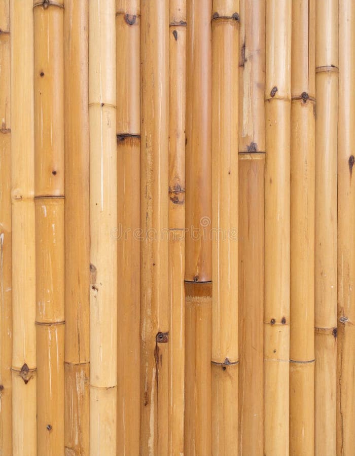 Close-Up View of Vertical Light Brown Bamboo Texture Stock Illustration ...