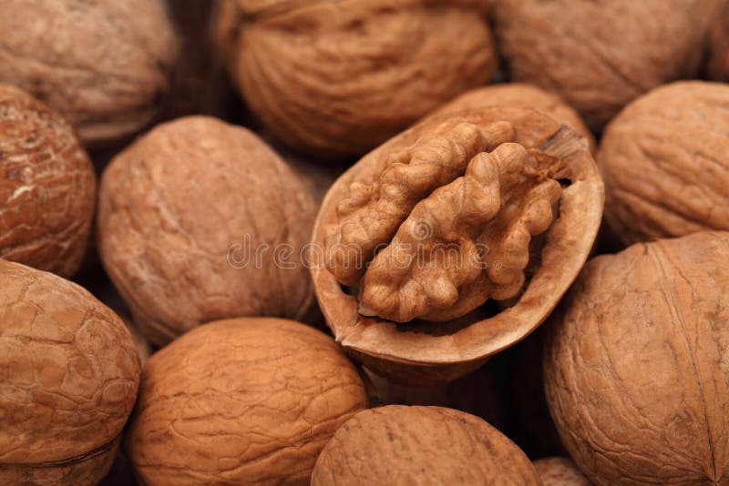 Close up view on walnuts stock photo. Image of brown - 28693894