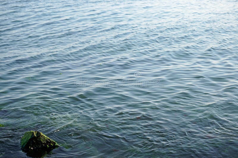 Close-up View of Water Ripples with Mossy Rock on Blue Sea Surface ...