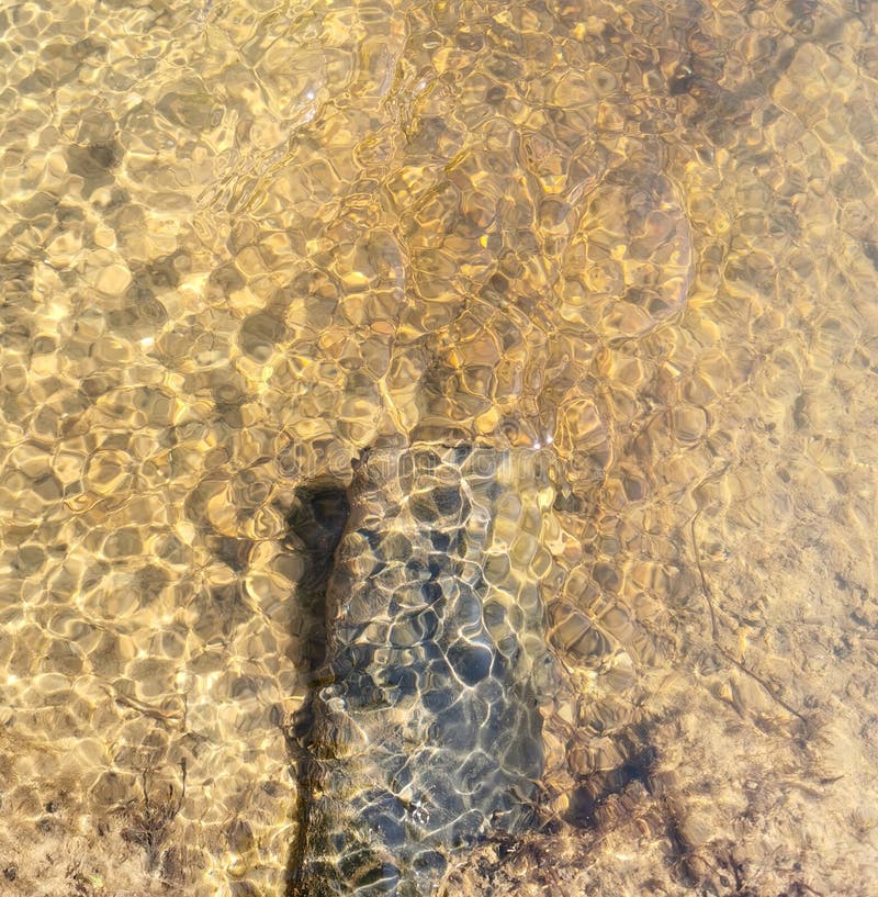 Close-up View of the Water& X27;s Surface, Revealing the Texture of the ...