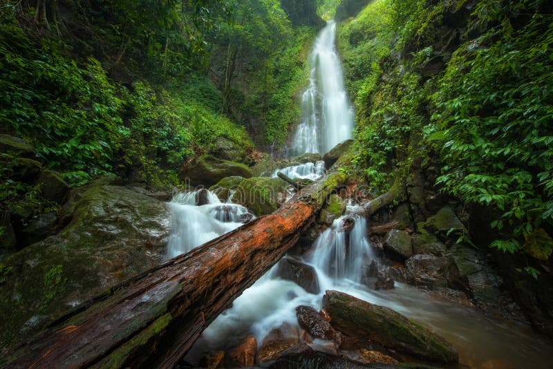 Close Up View Waterfall in Deep Forest at National Park, Waterfall ...