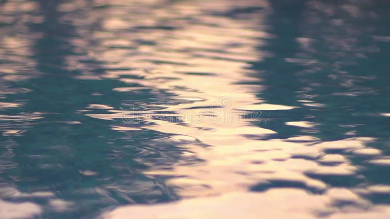 Close-up View of Waving Pool Water Stock Video - Video of trees ...