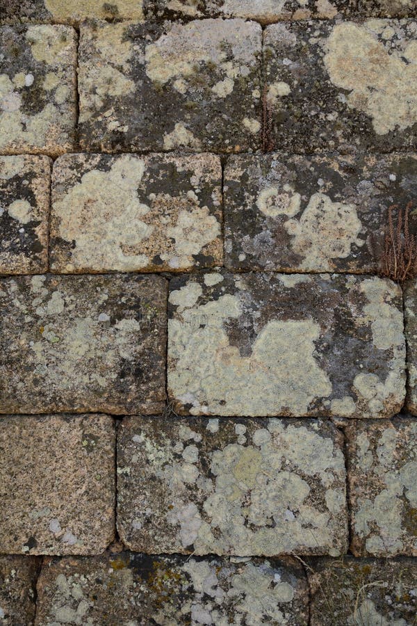 Ancient Castle Close Up Showcasing Stonework Medieval Architecture ...
