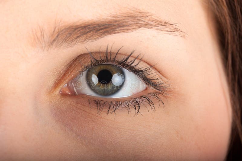 Close-up View of a Womans Eye Stock Photo - Image of woman, studio ...
