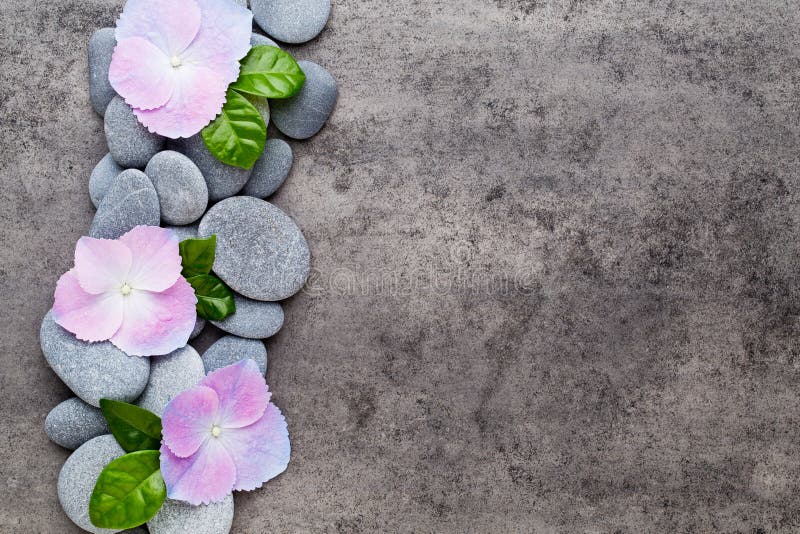Spa Flowers and Massage Stone, on Grey Background. Stock Image - Image ...