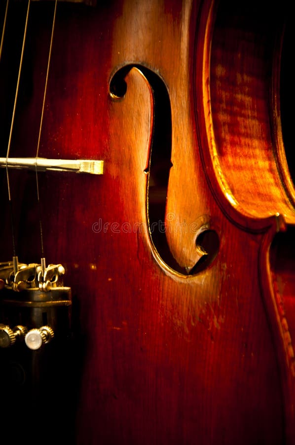 Close Up Violin stock photo. Image of composer, equipment - 19468826