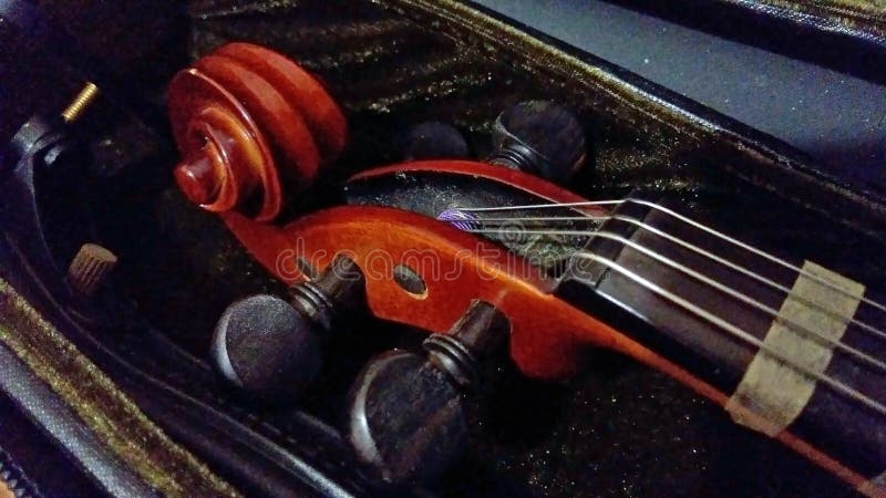 Close-up of Violin Neck in Case Stock Image - Image of equipment ...