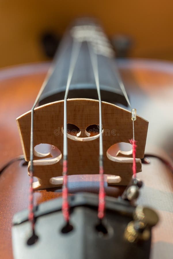 Close Up of Violin in Vertical Orientation Stock Photo - Image of close ...