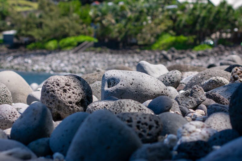 Close-up of Volcanic Rock Pebble Beach on Sunny Day Stock Photo - Image ...