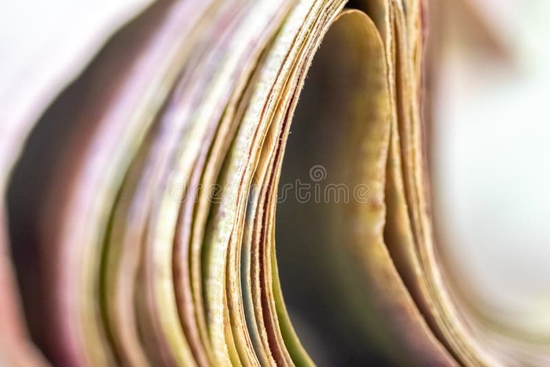 Close-up Wad of Twenty Pound Notes. Stock Photo - Image of greed, macro ...