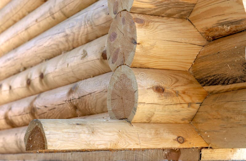 Close Up Wall of Round Wooden Logs Stock Photo - Image of nature ...