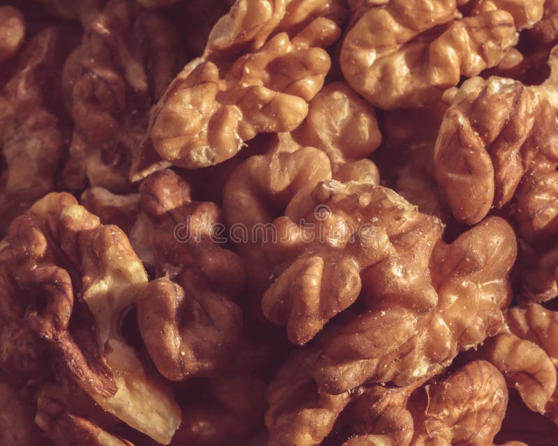 Wallnuts D Stock Photos - Free & Royalty-Free Stock Photos from Dreamstime