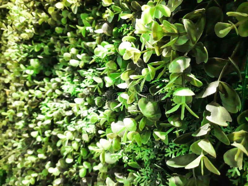 Close-up of Walls with Artificial Greenery Stock Image - Image of ...