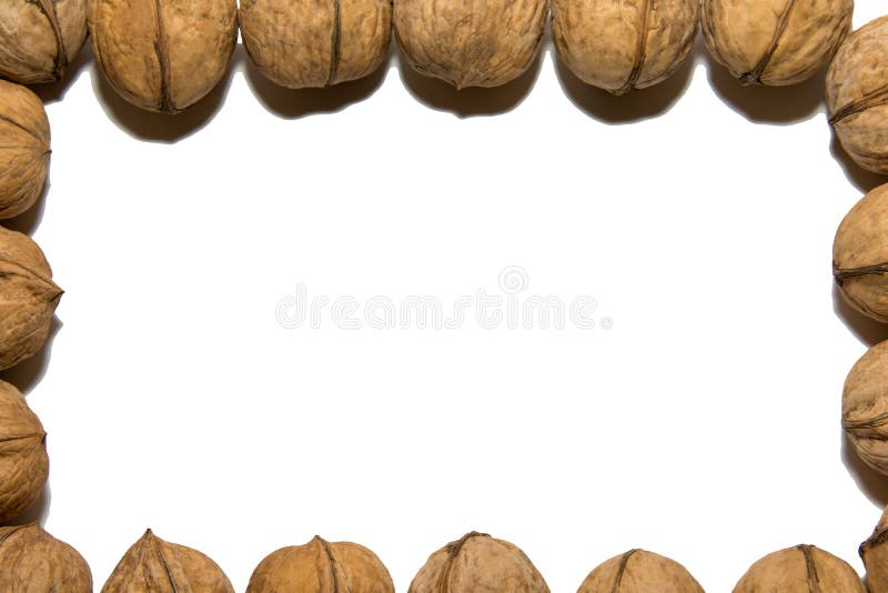 Close-up of Walnut. the Frame is Made of Walnut Stock Image - Image of ...