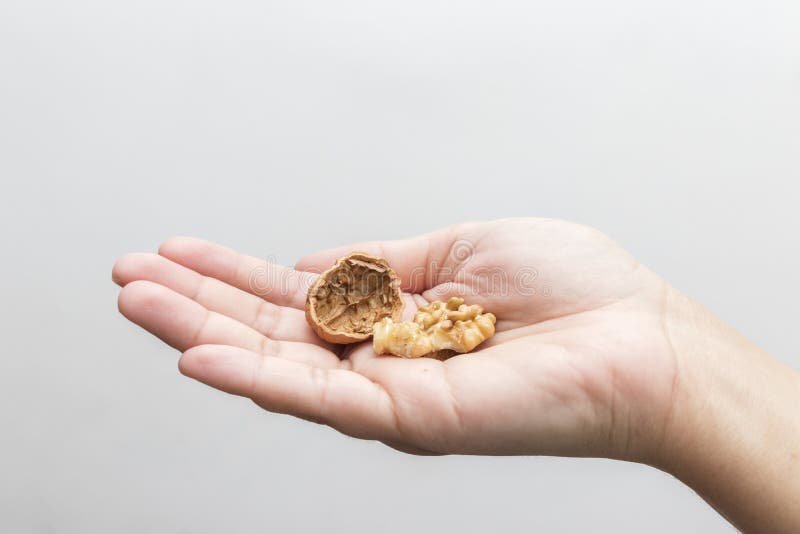 Close-up on walnut in hand stock image. Image of hand - 184624003